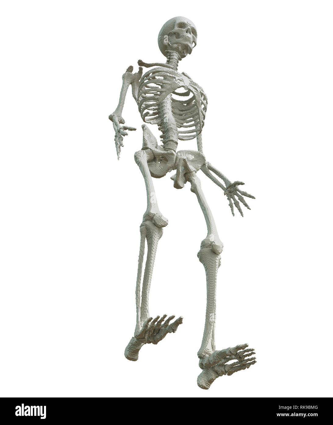 3d printed skeleton isolated Stock Photo - Alamy