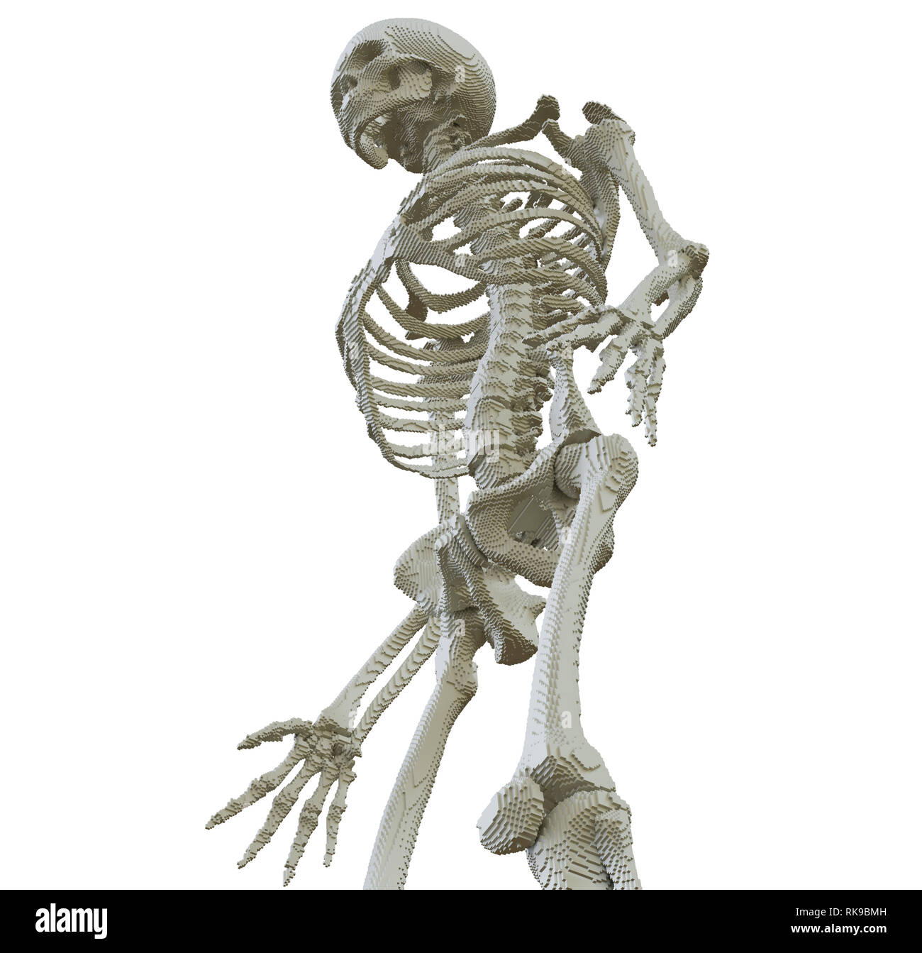 3d printed skeleton isolated Stock Photo - Alamy