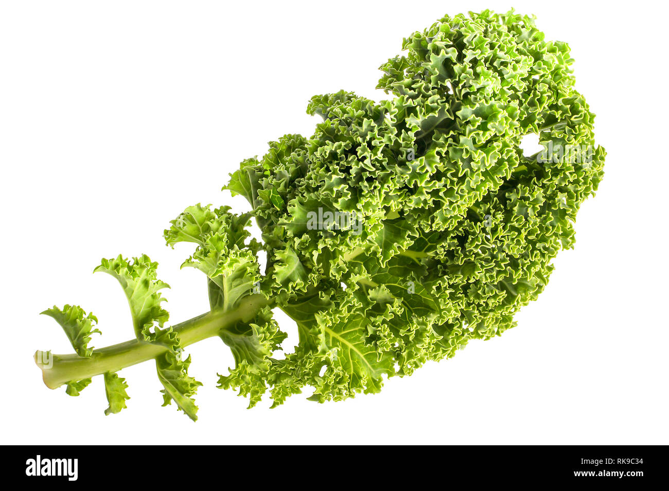 kale leafy vegetable closeup on white background Stock Photo - Alamy