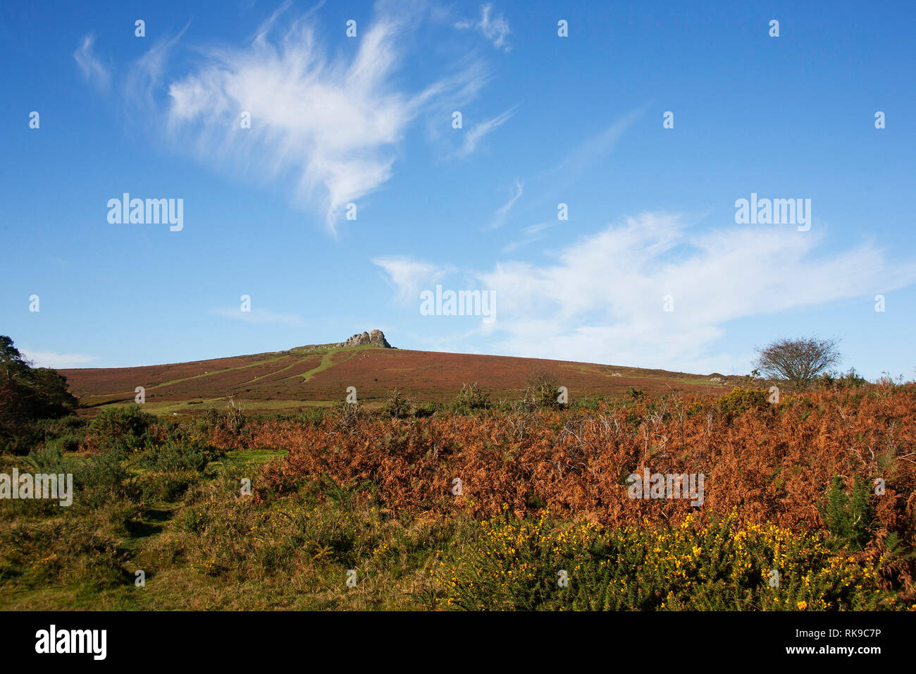 Haytor Down Dartmoor National Park Devon England Stock Photo - Alamy