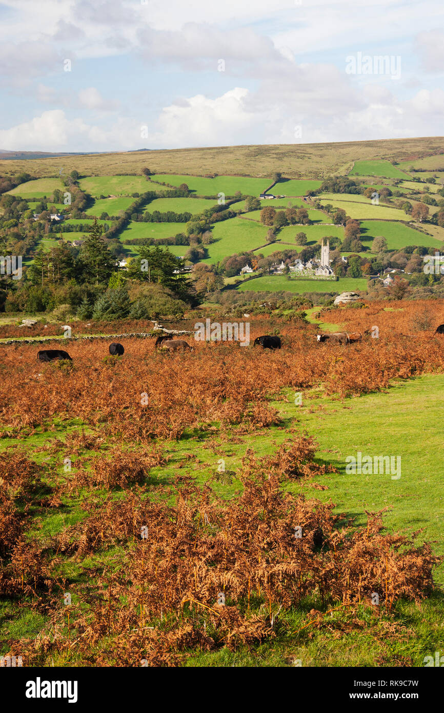 Dartmoor autumn village hi-res stock photography and images - Alamy