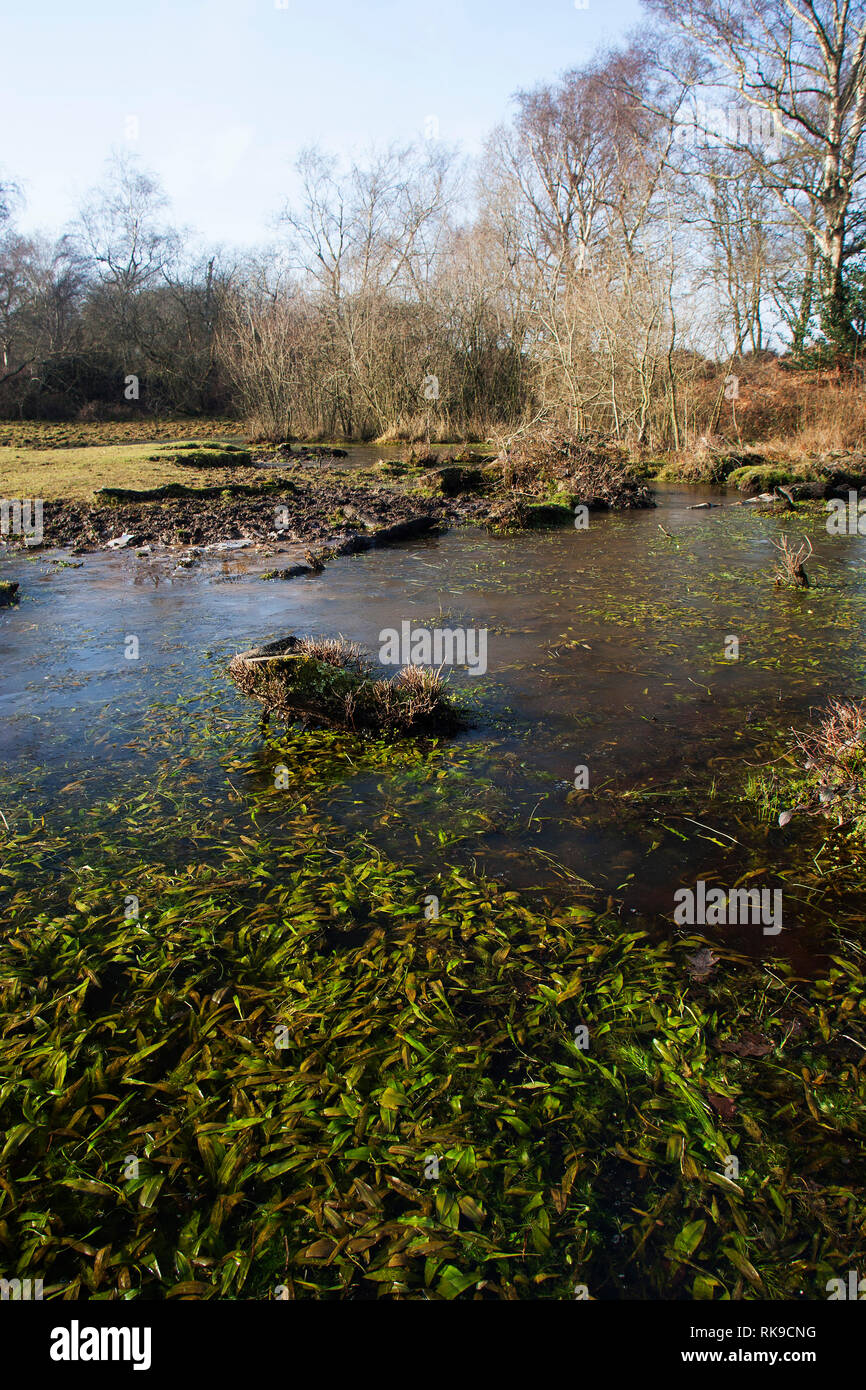 Marl pit hi-res stock photography and images - Alamy