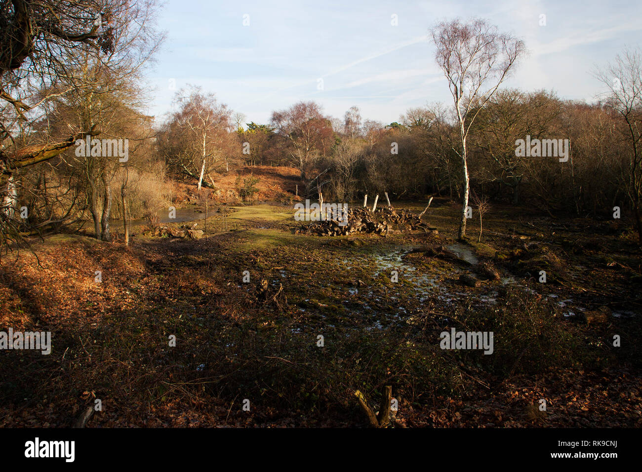 Marl pit hi-res stock photography and images - Alamy