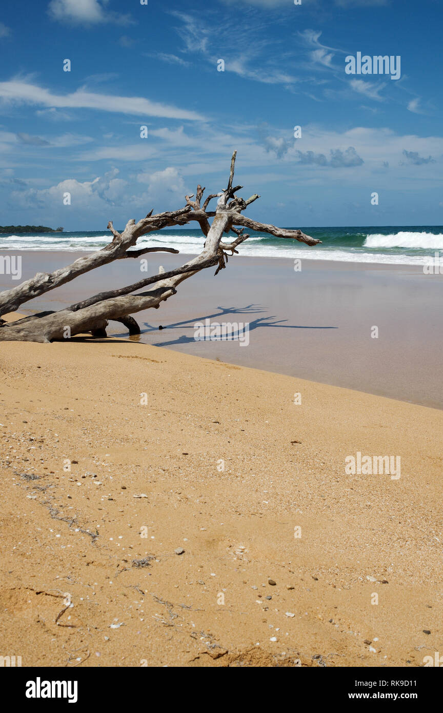 Beautiful Playa Bluff on Colon Island in Bocas Del Toro Archipelago ...