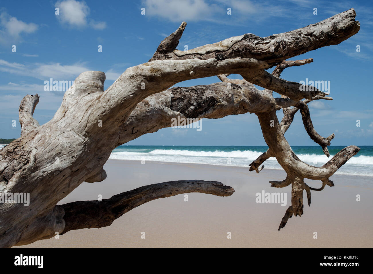 Beautiful Playa Bluff on Colon Island in Bocas Del Toro Archipelago ...