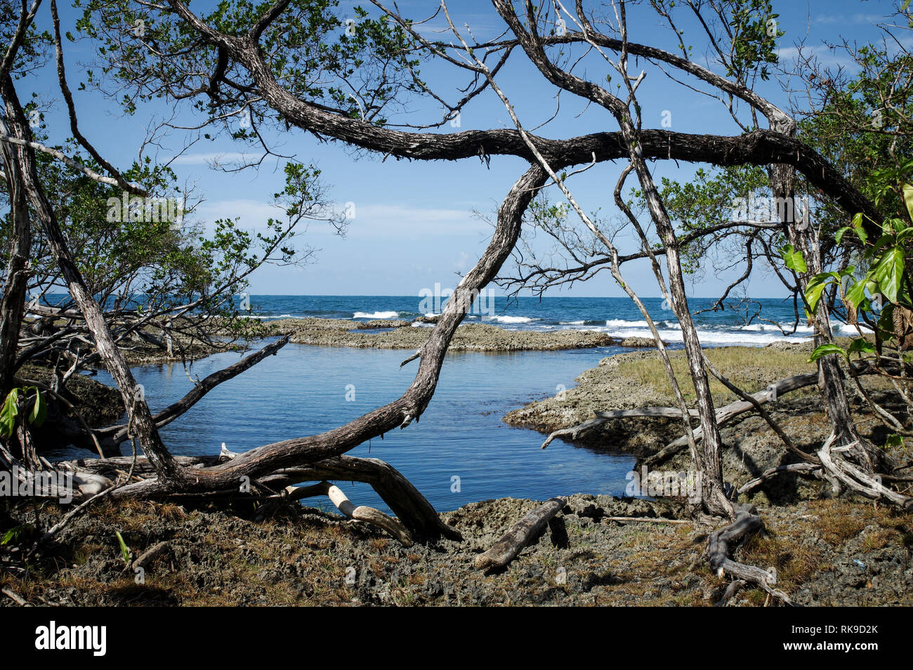 Blue Lagoon on Isla Colon - Bocas Del Toro Archipelago, Panama Stock ...