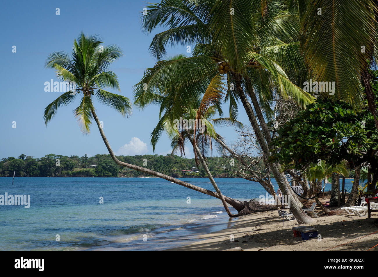 Beautiful coastline around Playa Boca Del Drago on Isla Colon - Bocas ...