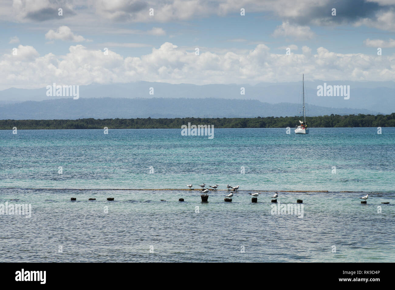 Beautiful coastline around Playa Boca Del Drago on Isla Colon - Bocas ...