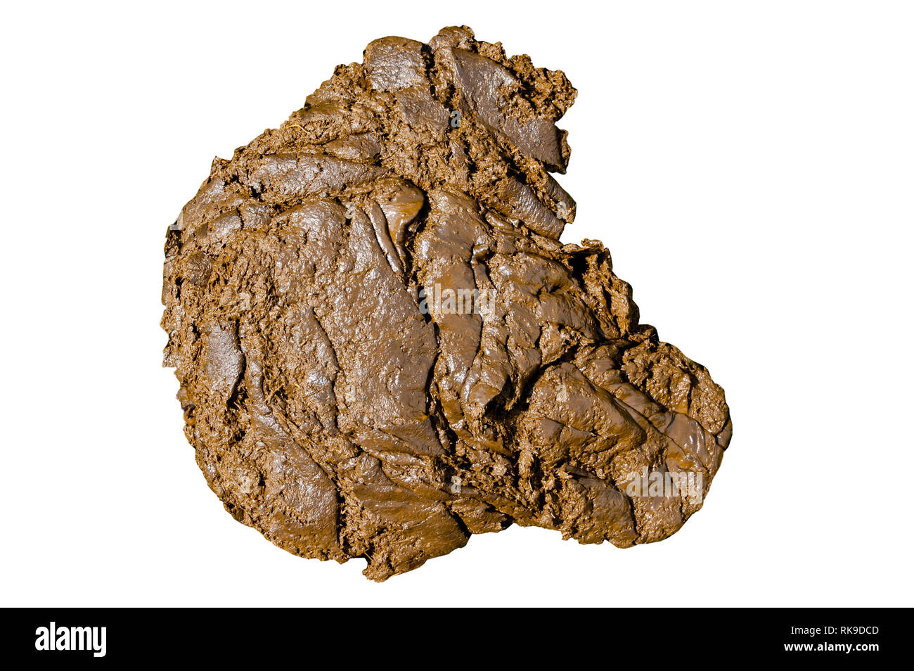 Cow dung hi-res stock photography and images - Alamy