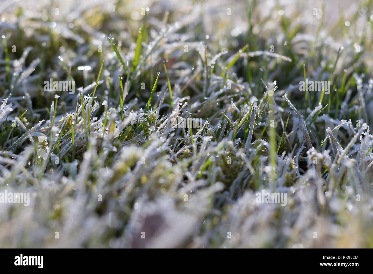Ice crystals on the grass hi-res stock photography and images - Alamy
