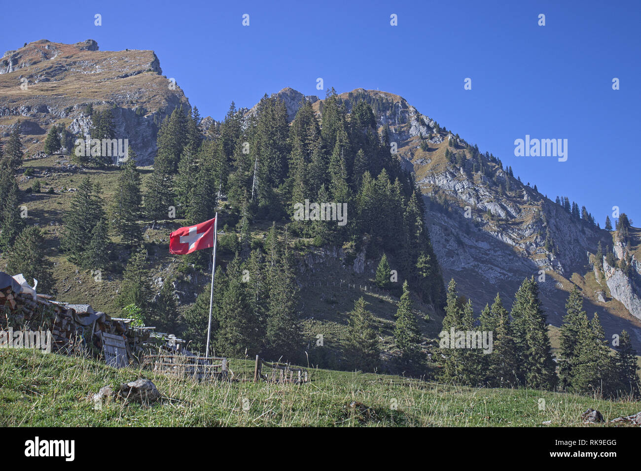 Alpine country flag hi-res stock photography and images - Alamy