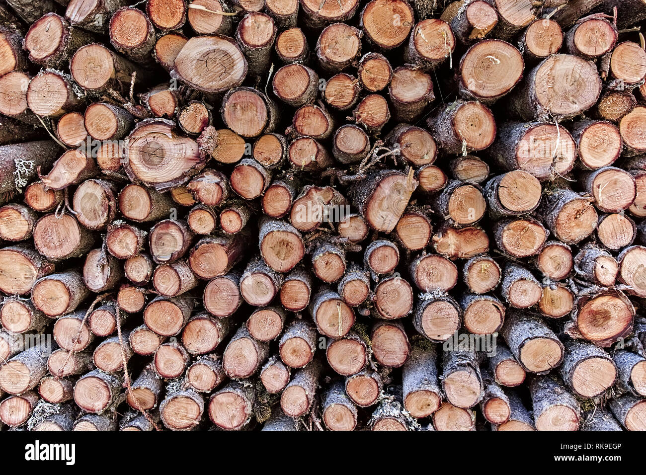 Round wooden logs stacked Stock Photo - Alamy