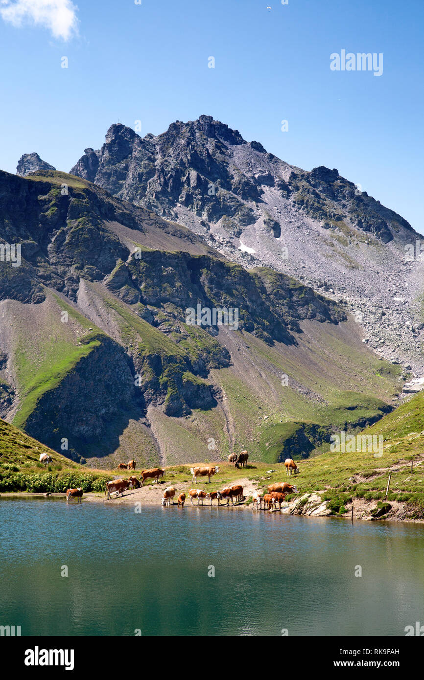 Pizol region hi-res stock photography and images - Alamy