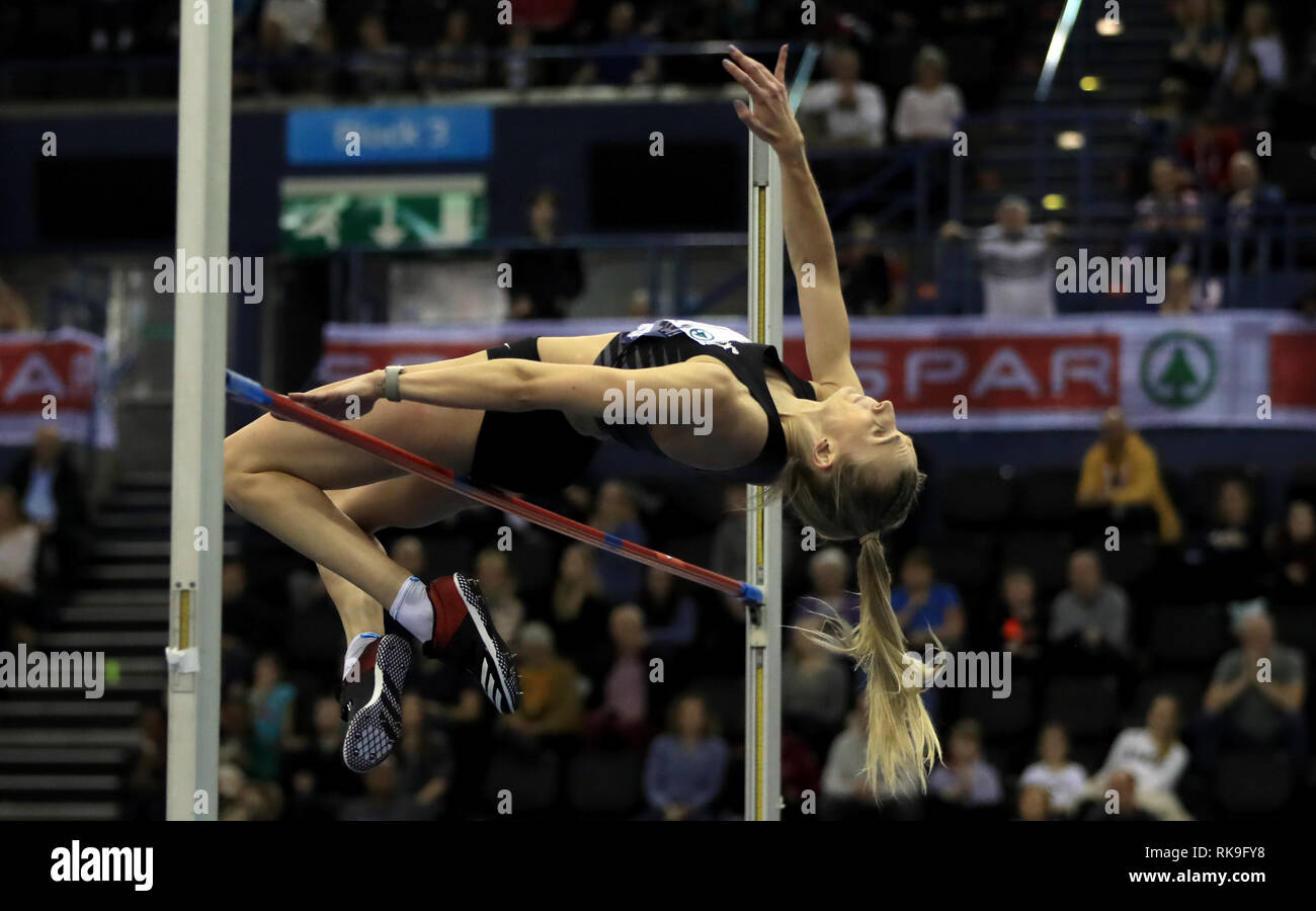 British partridge hi-res stock photography and images - Alamy