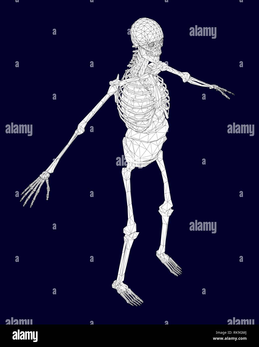 Polygonal wireframe of the human skeleton with internal organs ...