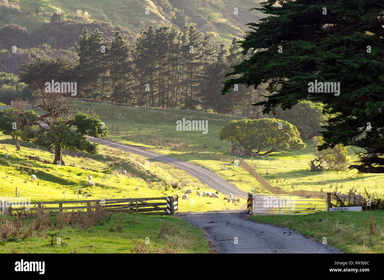 Road through farmland hi-res stock photography and images - Alamy