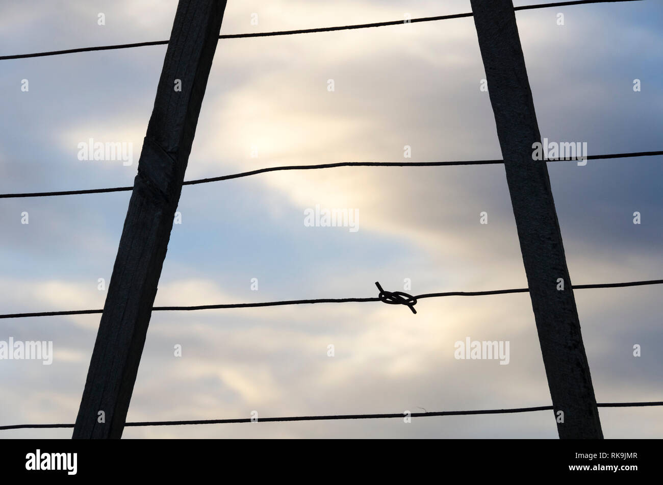 Number 8 fence wire hi-res stock photography and images - Alamy