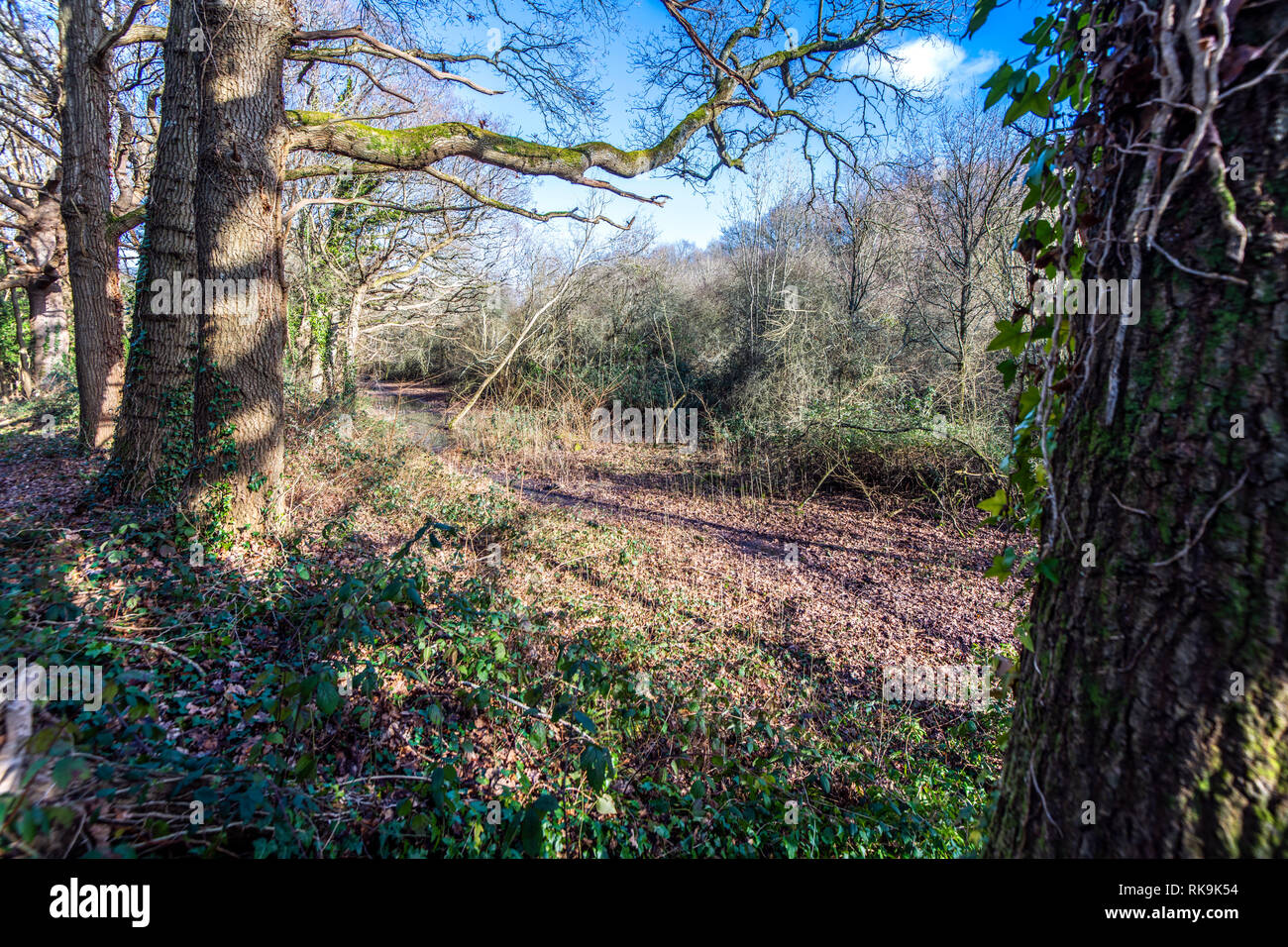 Crowhurst railway hi-res stock photography and images - Alamy