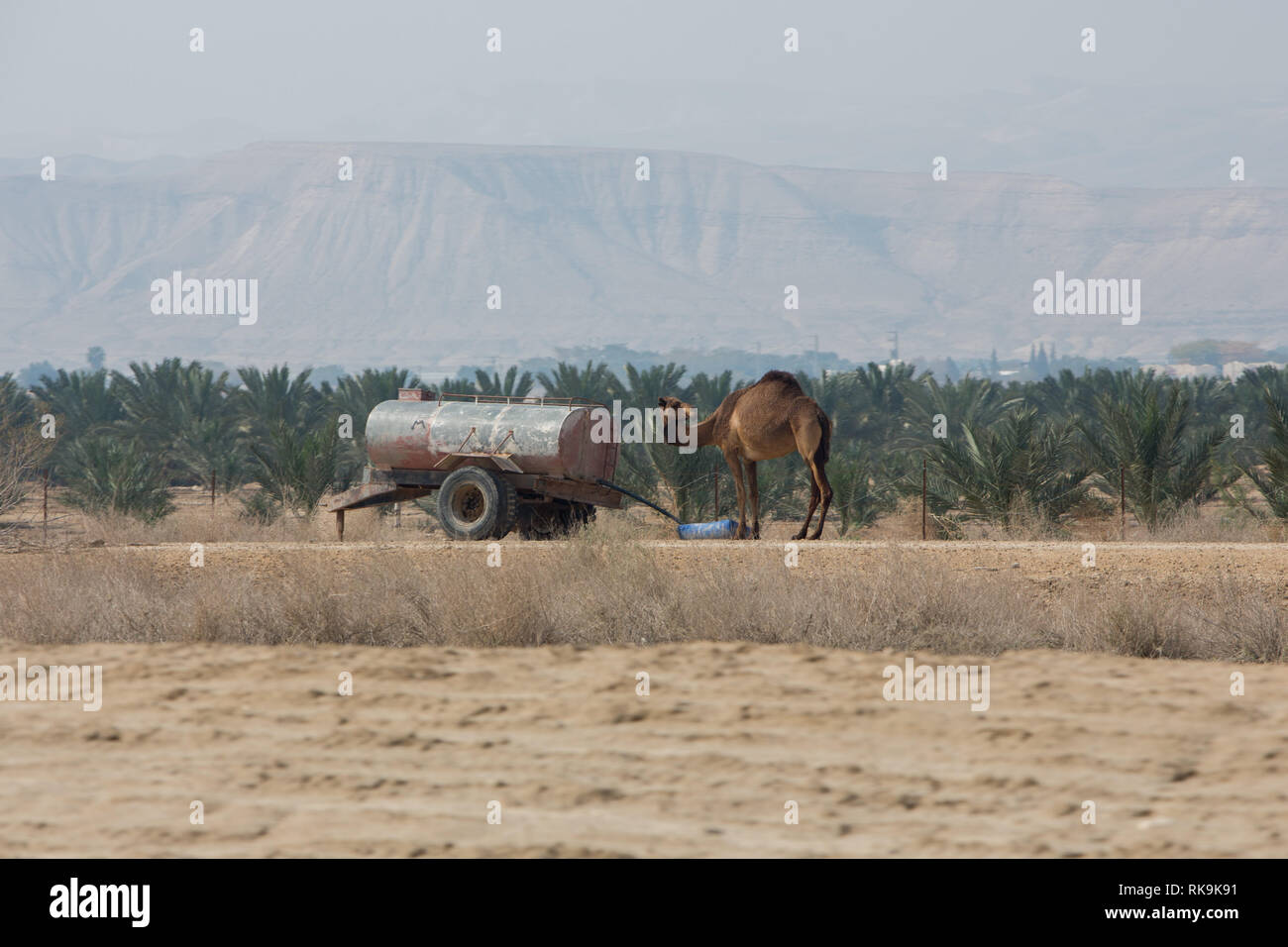 Camel water tank hi-res stock photography and images - Alamy