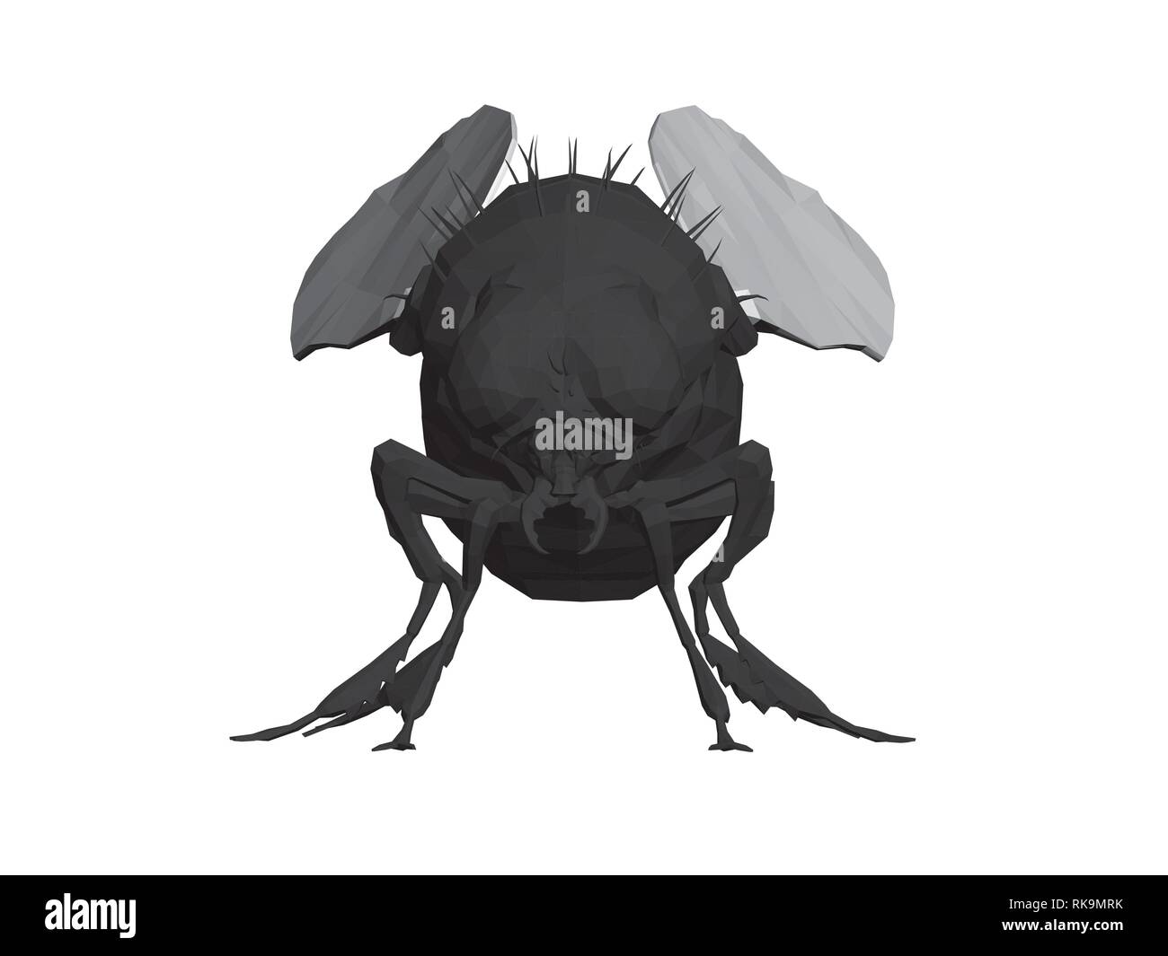 Polygonal realistic fly. Black fly with white wings. Front view. 3D ...