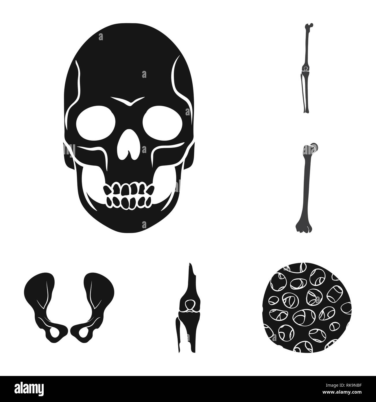 skull,knee,hip,femur,fiber,death,joint,broken,bony,healthy,monster ...