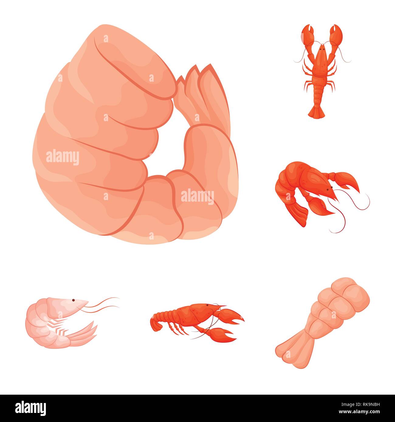 prawn,crayfish,lobster,raw,red,creature,cooked,boiled,luxury,fresh ...