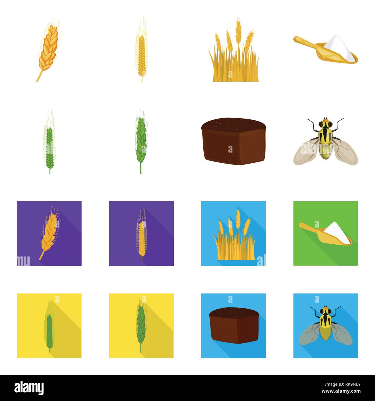 spring,flour,bread,fly,spike,winter,meal,insect,durum,barley,scoop ...