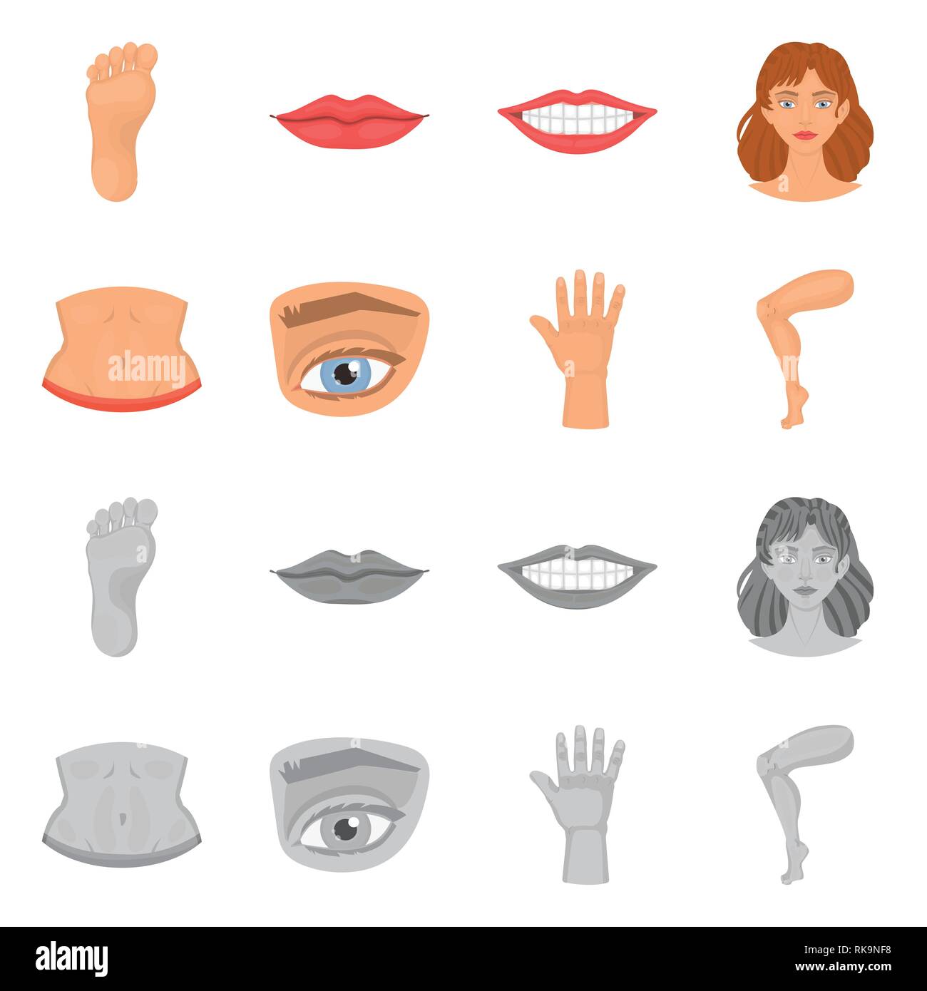 Vector design of body and part icon. Set of body and anatomy vector ...