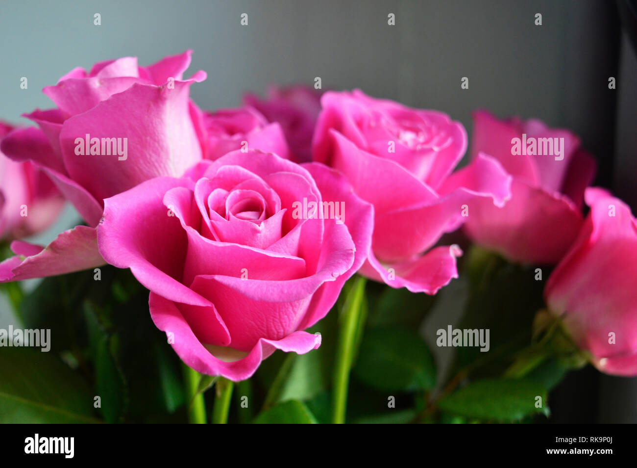 An Image of a bunch of pink roses Stock Photo - Alamy