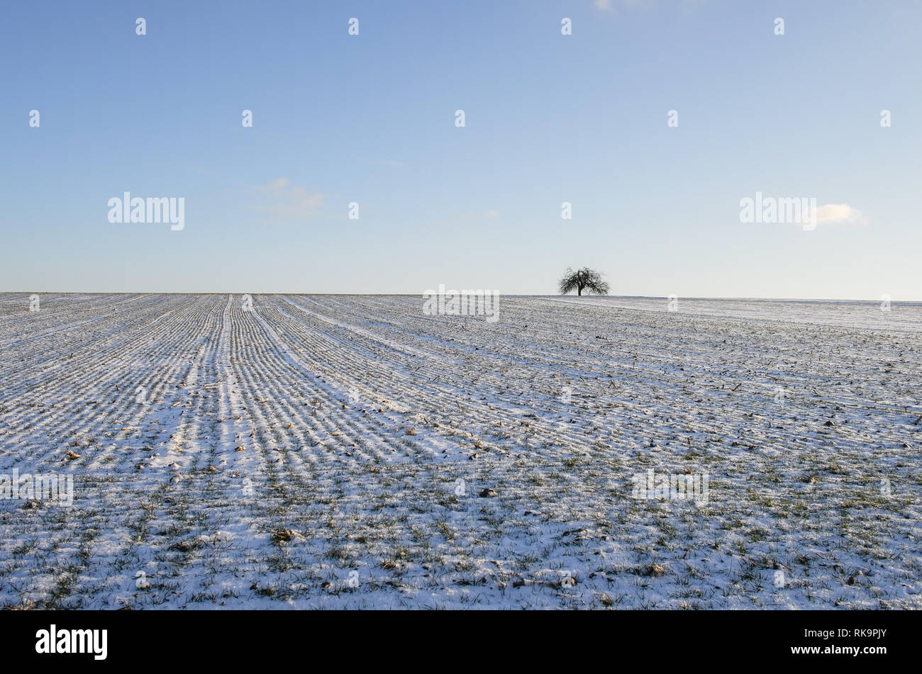 Winterfeld Sonnenuntergang im Vogelsberg Stock Photo - Alamy