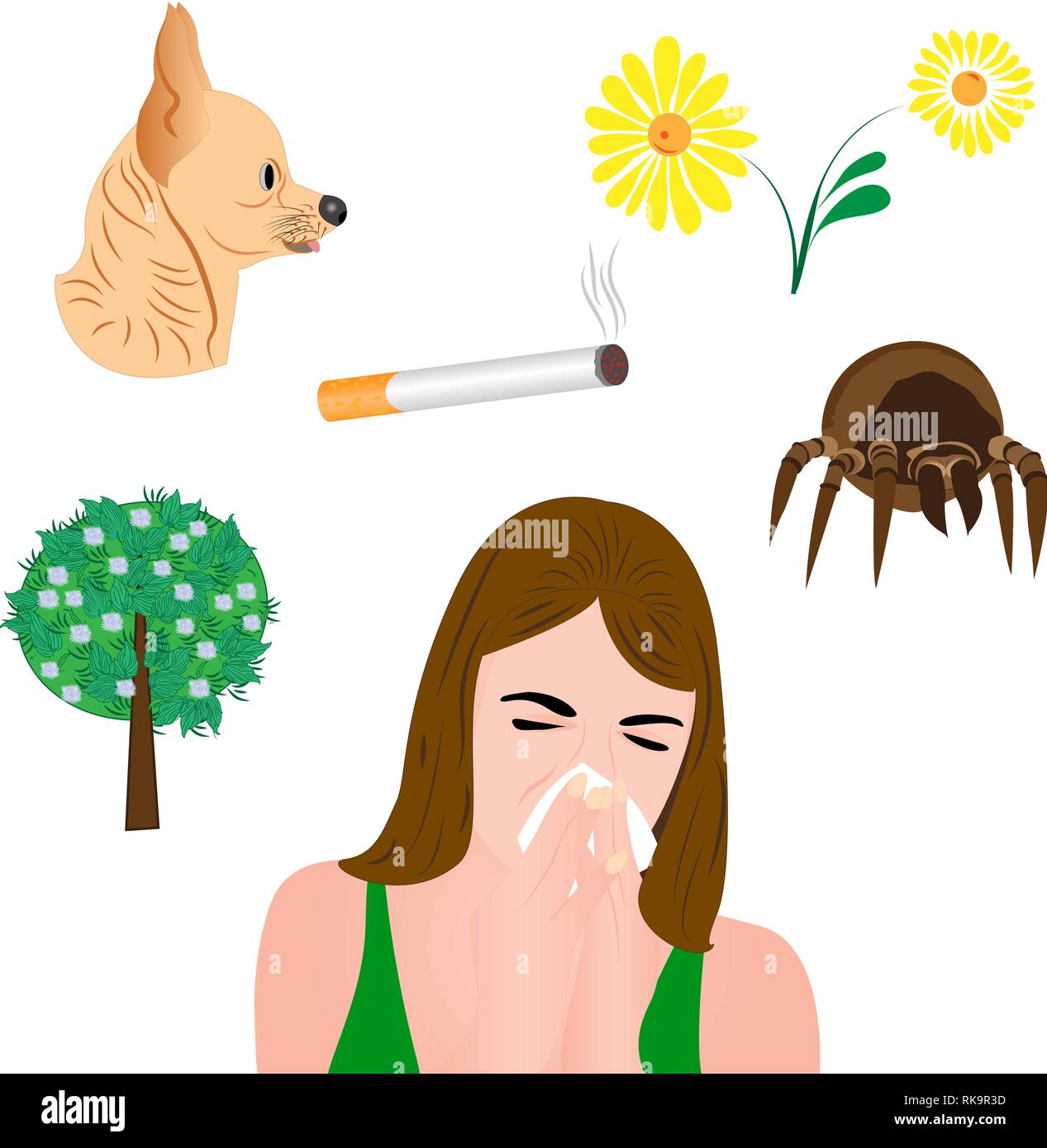 Animals Smoking Weed