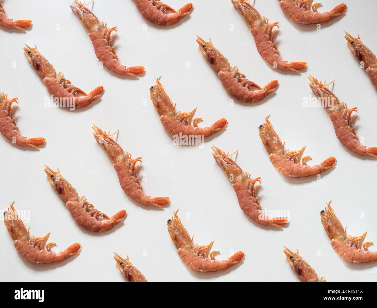 Prawn pattern on white background Stock Photo - Alamy
