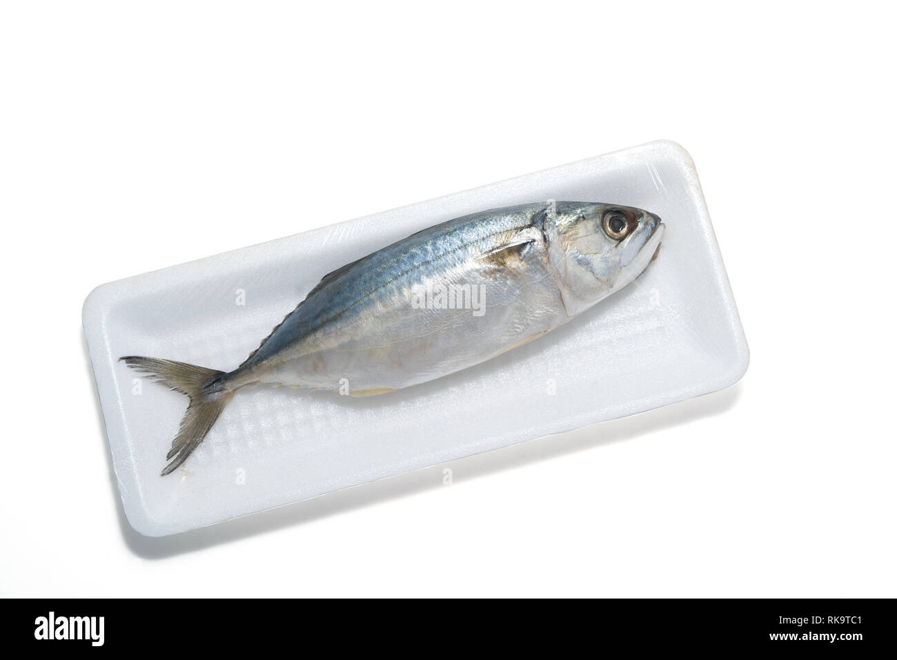 fresh mackerel fish pack isolated on white background with clipping ...