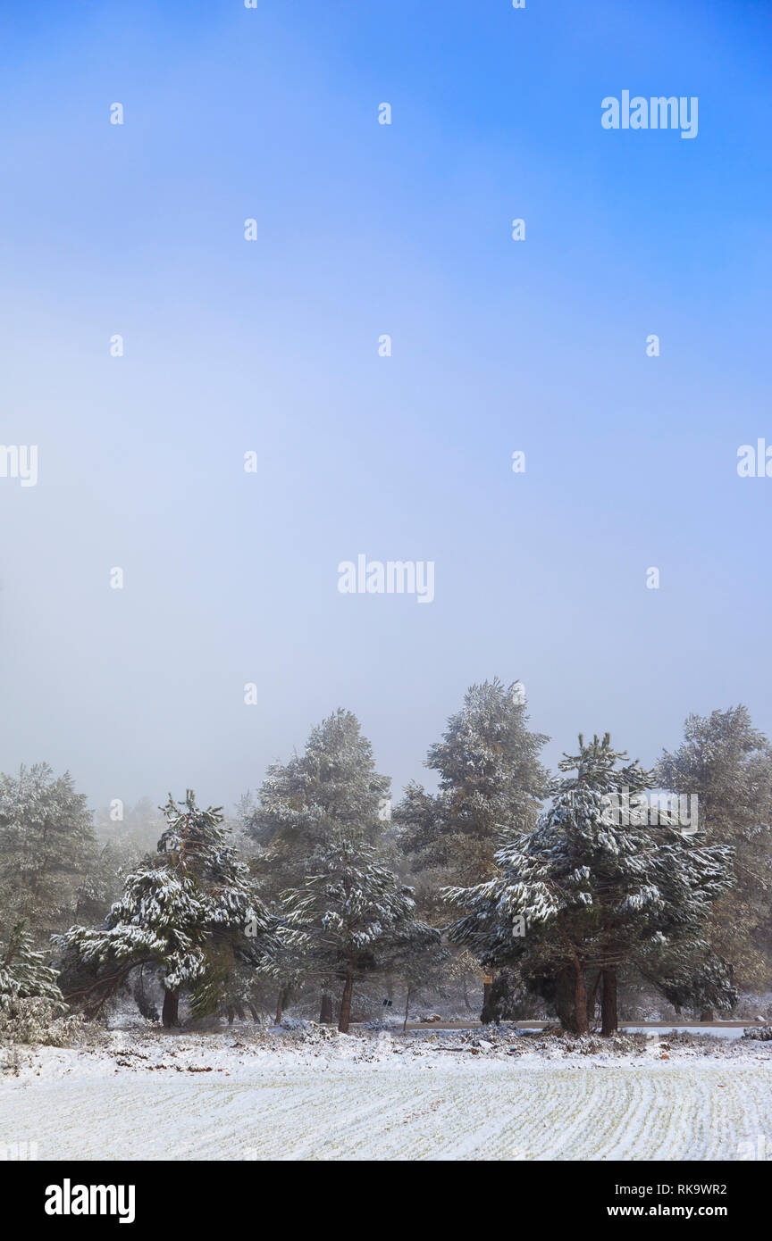 Parque natural sierra de mariola hi-res stock photography and images ...