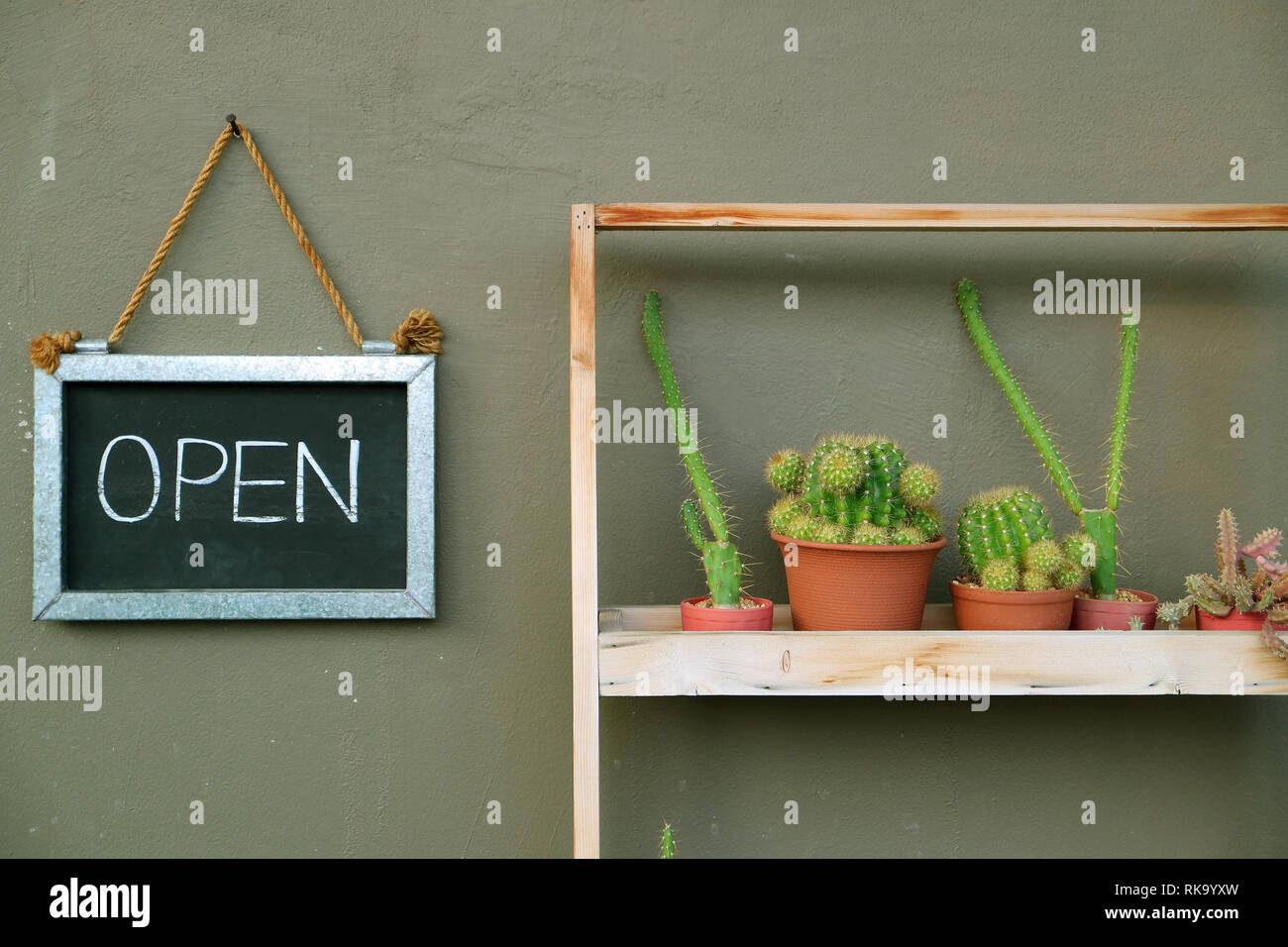 OPEN sign board hanging on the cafe outer wall beside the succulent ...