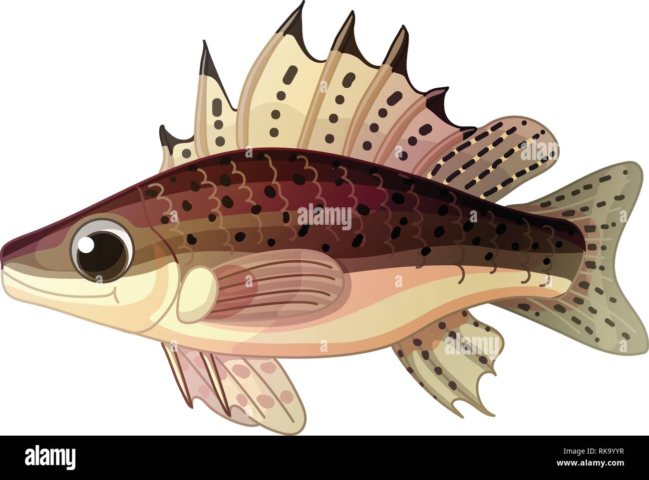 vector cartoon animal clipart: ruff fish Stock Vector Image & Art - Alamy