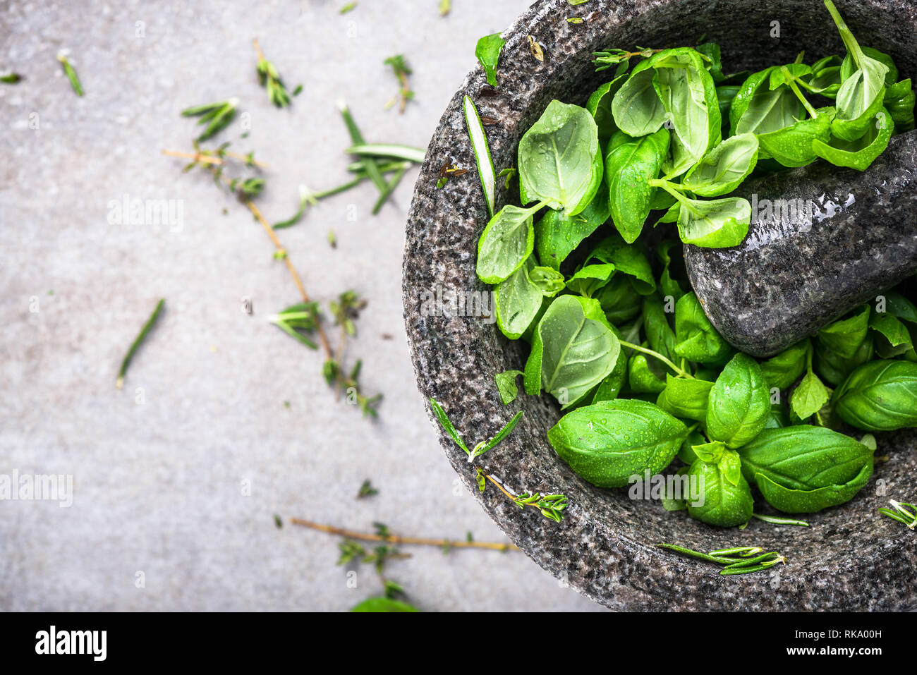 Fresh basil mint in concrete pestle or mortar Stock Photo - Alamy