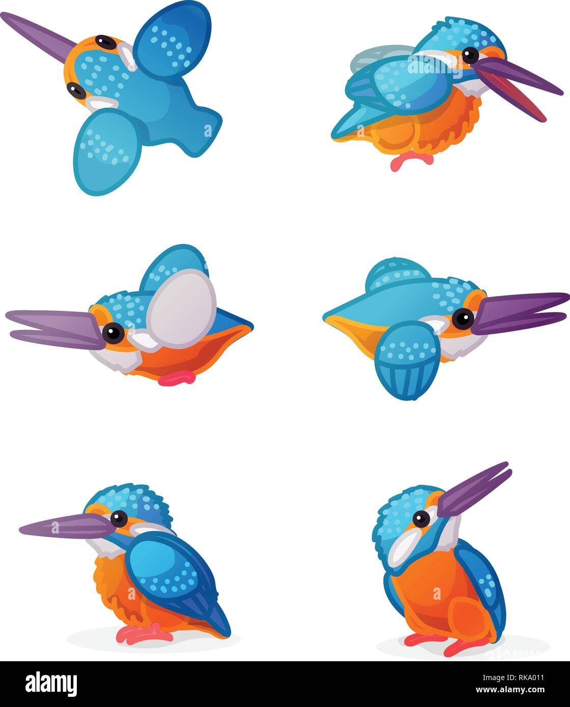vector cartoon animal clipart: kingfisher birds set Stock Vector Image ...