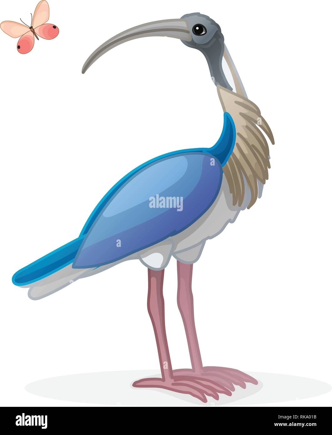 vector cartoon animal clipart: ibis bird Stock Vector Image & Art - Alamy