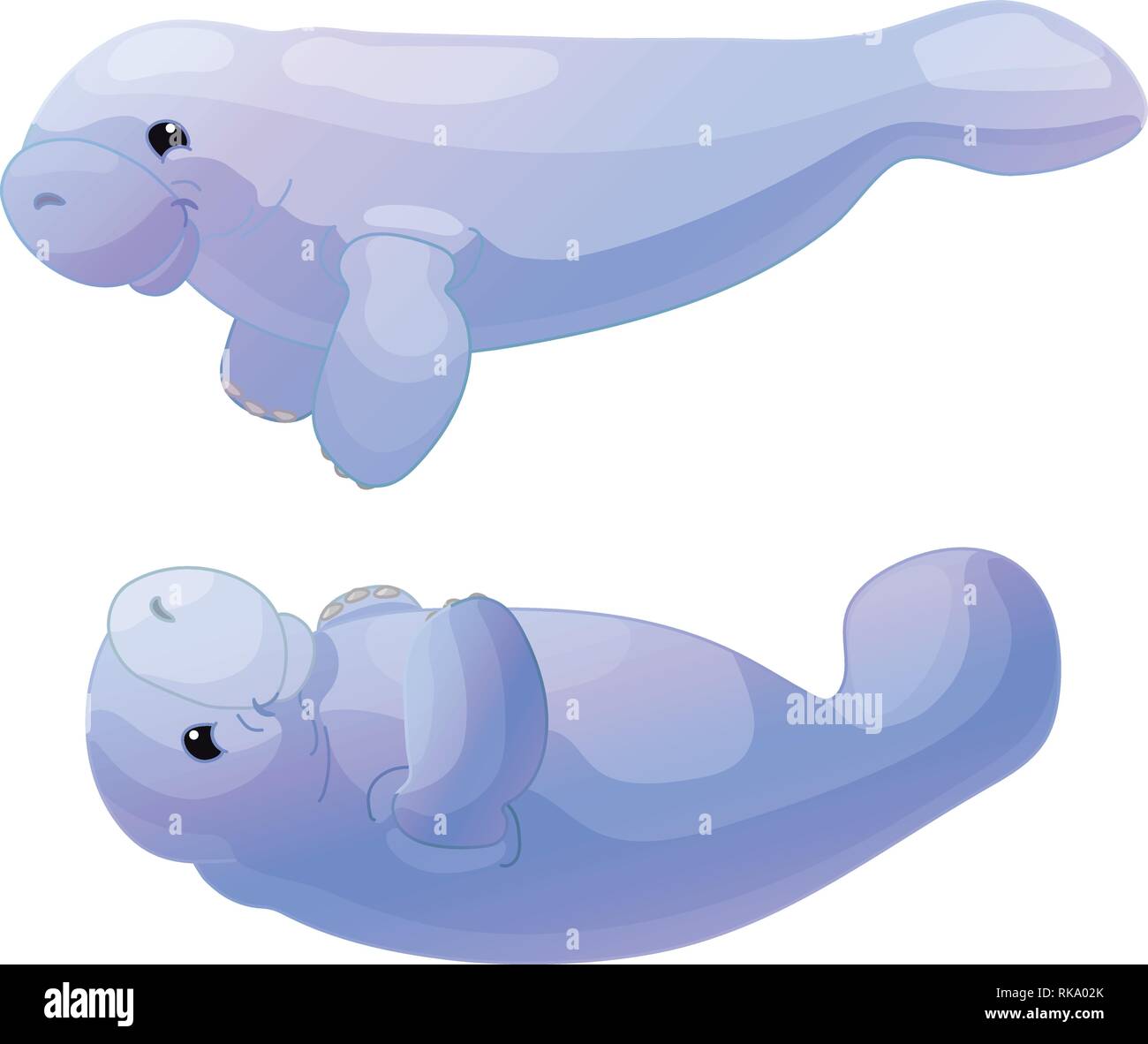 vector cartoon animal clipart: manatees Stock Vector Image & Art - Alamy