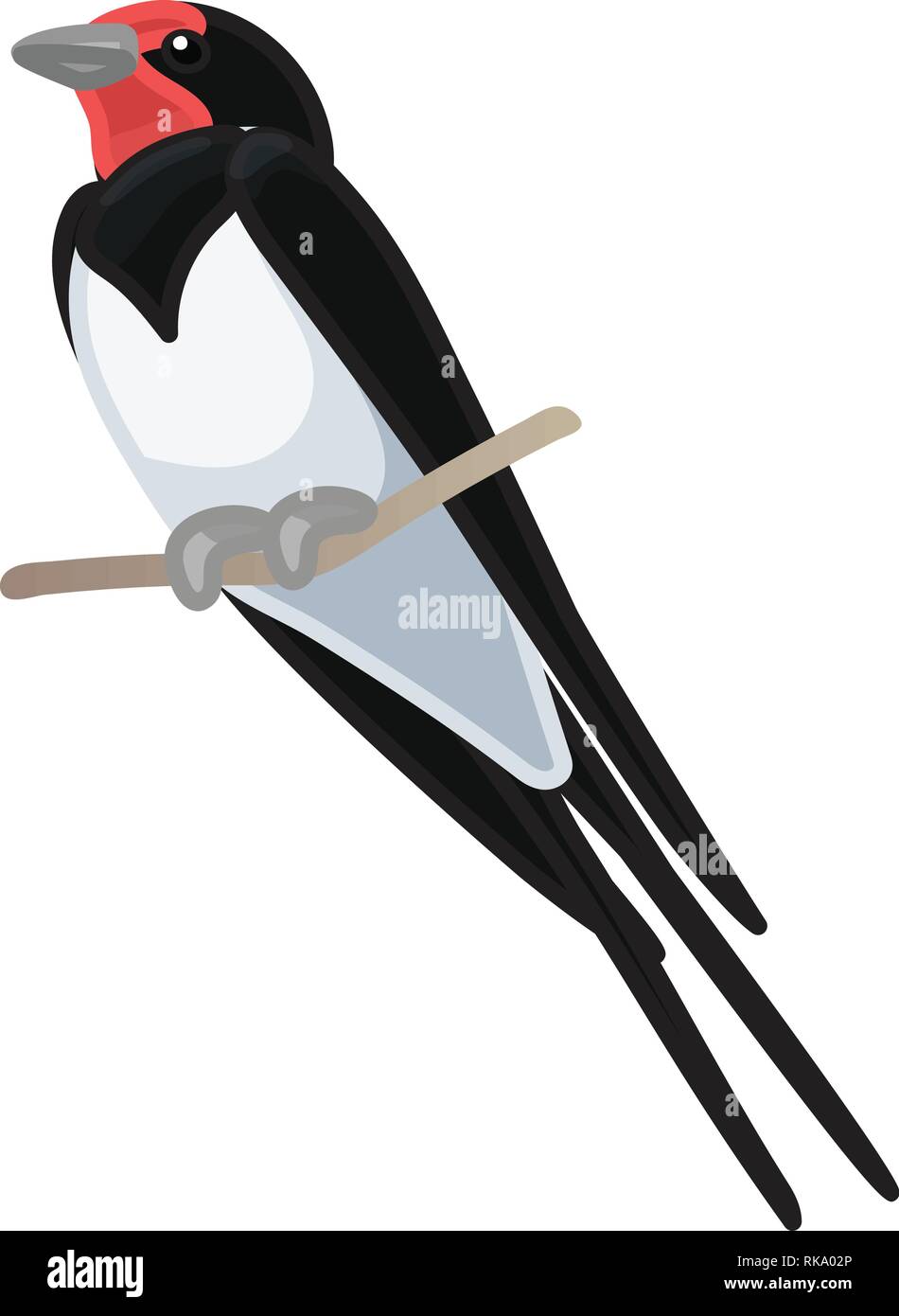 vector cartoon animal clipart: swallow bird Stock Vector Image & Art ...