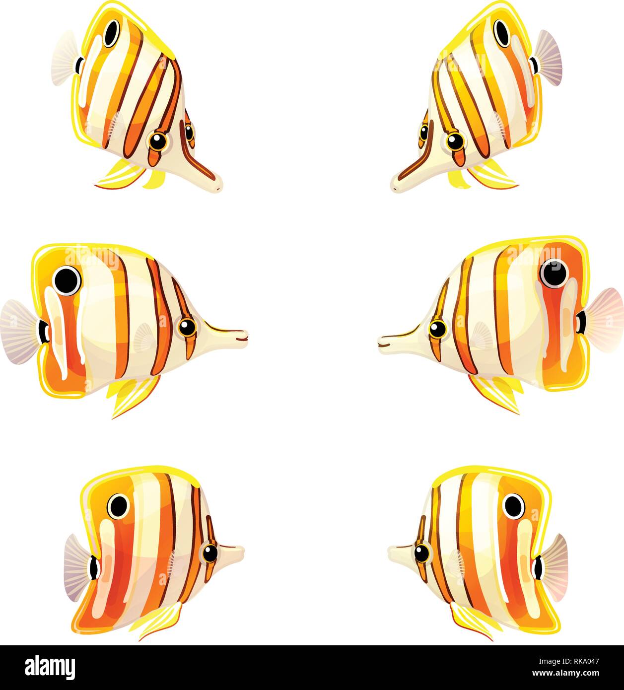 vector cartoon animal clipart: chelmon rostratus Stock Vector Image ...