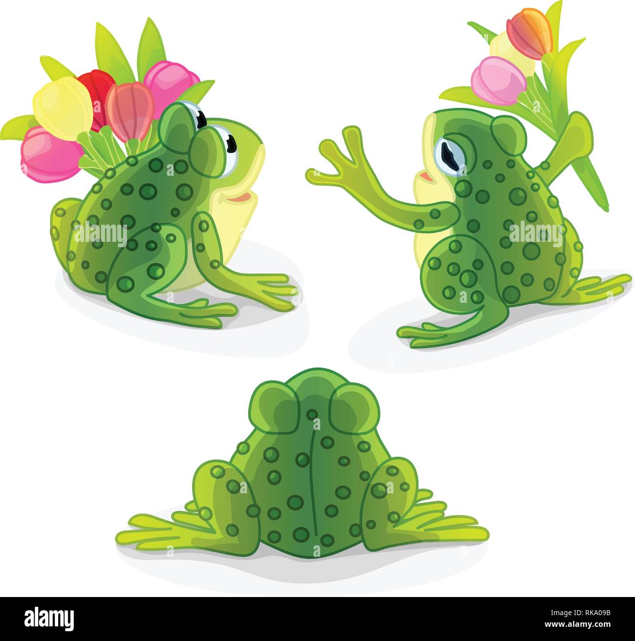 vector cartoon animal clipart: green toad, frog Stock Vector Image ...