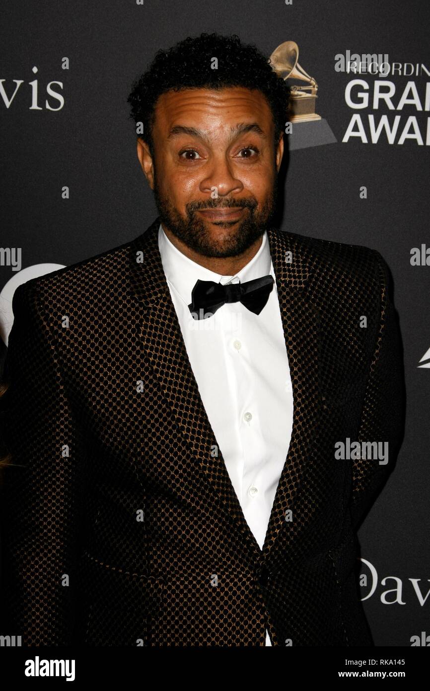 California, USA. 9th Feb 2019. Rocsi Diaz at the Clive Davis Pre-Grammy ...