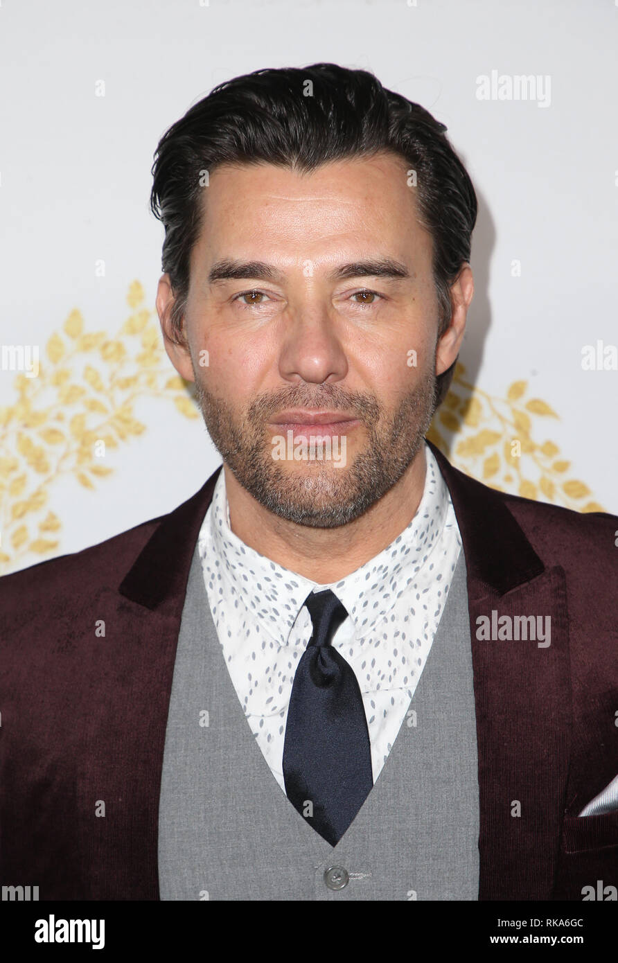 Steve bacic hi-res stock photography and images - Alamy