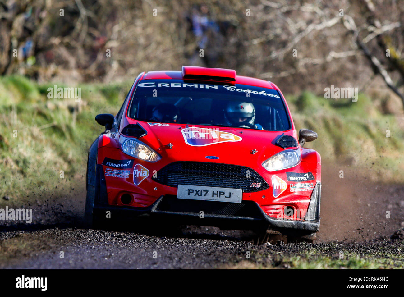 Daniel cremin hi-res stock photography and images - Alamy