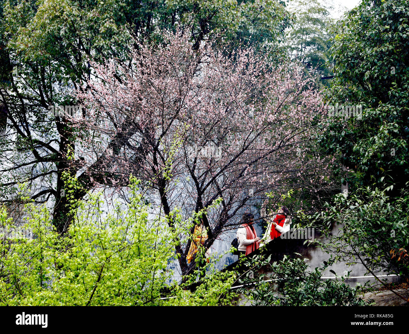 Linyang temple hi-res stock photography and images - Alamy