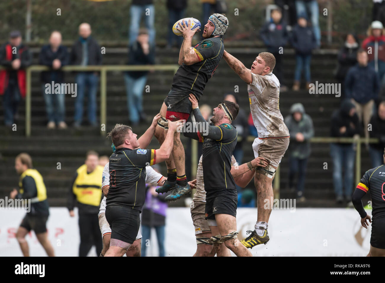 The federation belge de rugby hi-res stock photography and images - Alamy