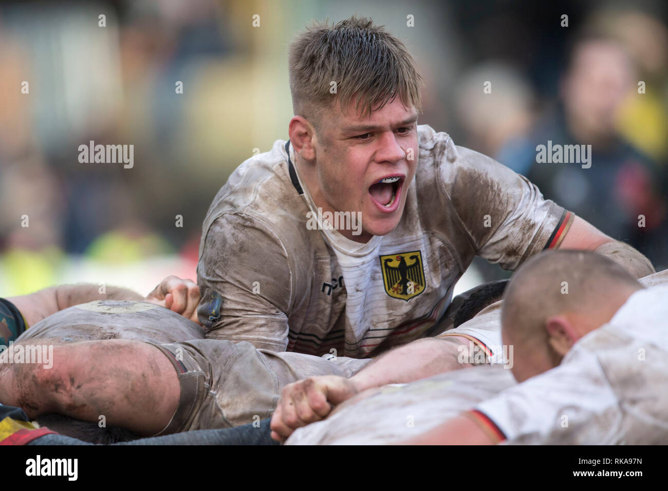 Belgian rugby team hi-res stock photography and images - Alamy