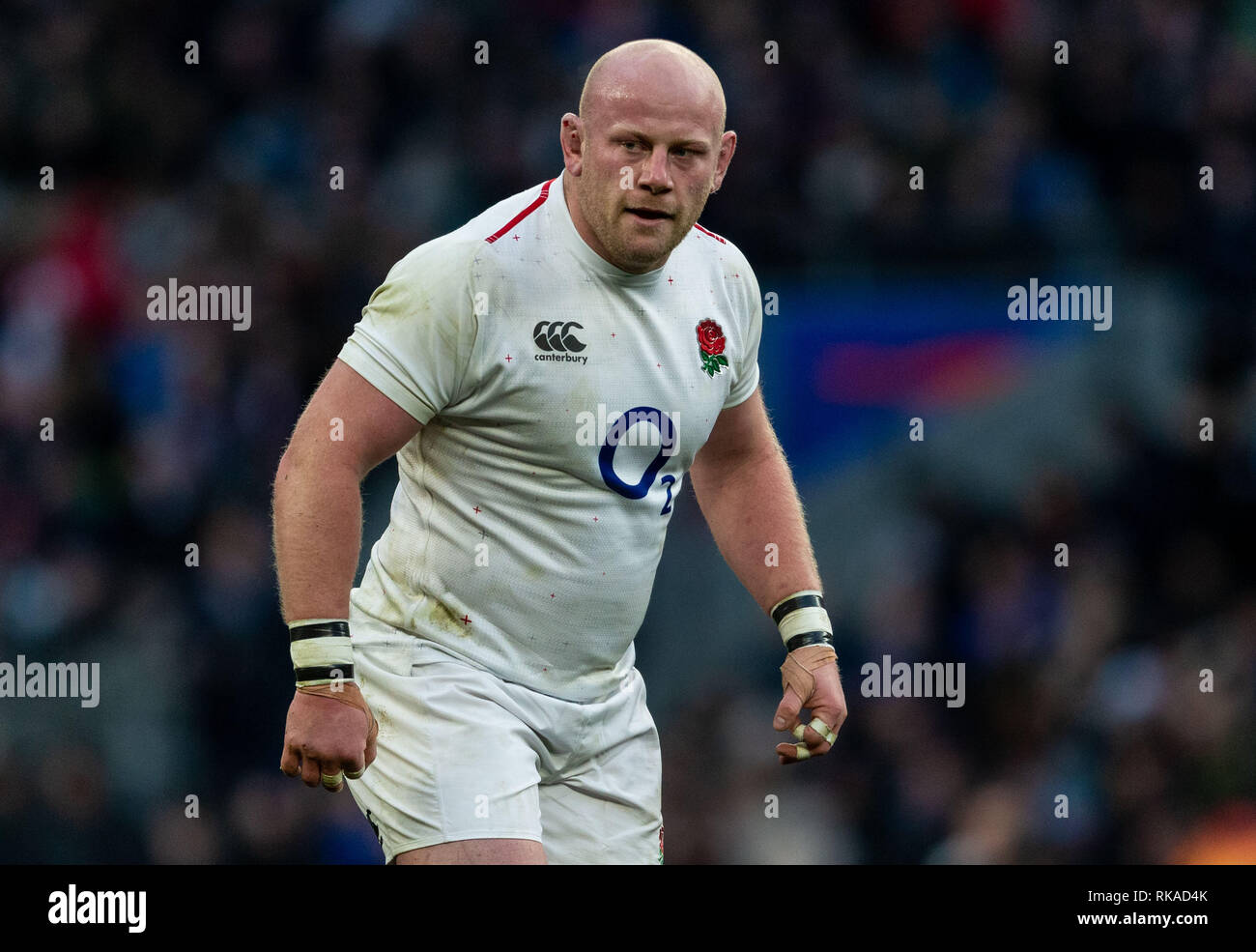 Dan cole hi-res stock photography and images - Alamy